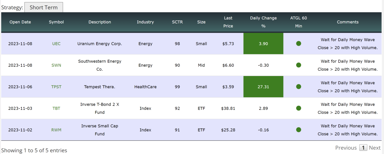 Stock Watch List - what is it and how to ues.