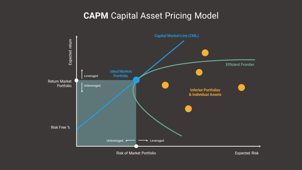 What Are CAPM Assumptions and How CAPM Works