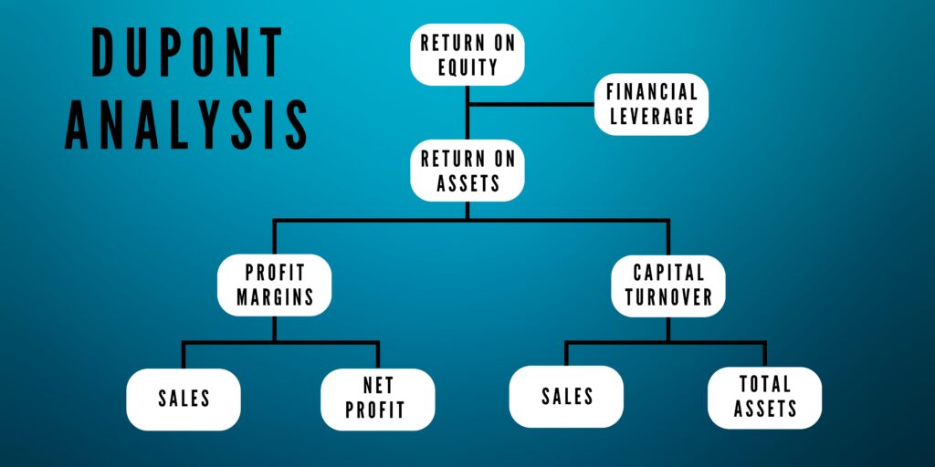 Unlocking Insights into ROE and Profitability