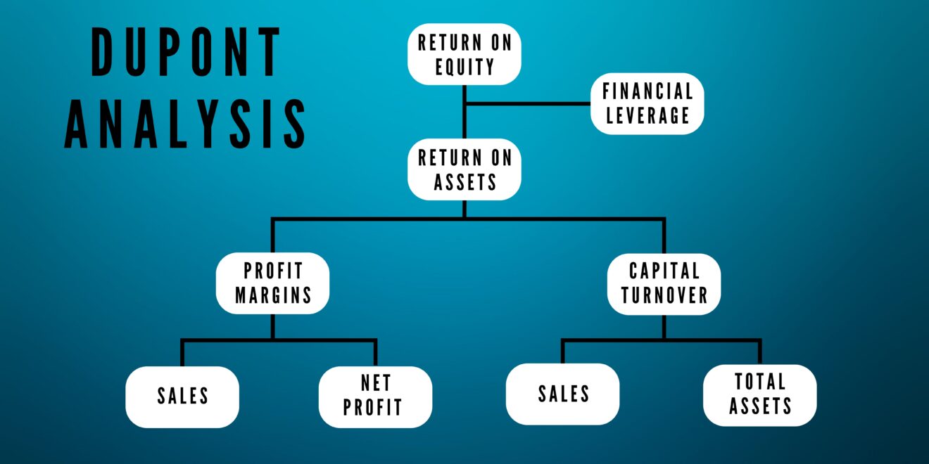 Unlocking Insights into ROE and Profitability